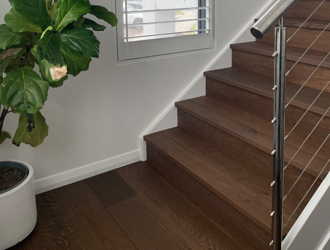 Havwoods’ Timber Tones of The Year 2023